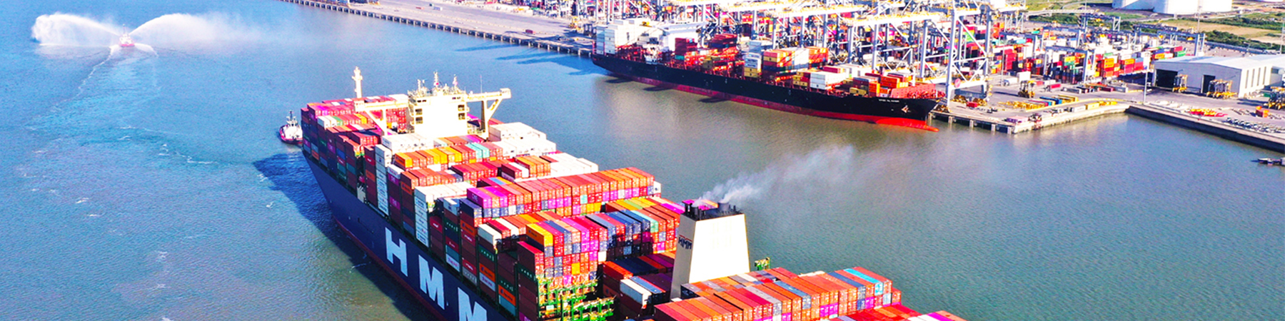 London Gateway Port - eccles